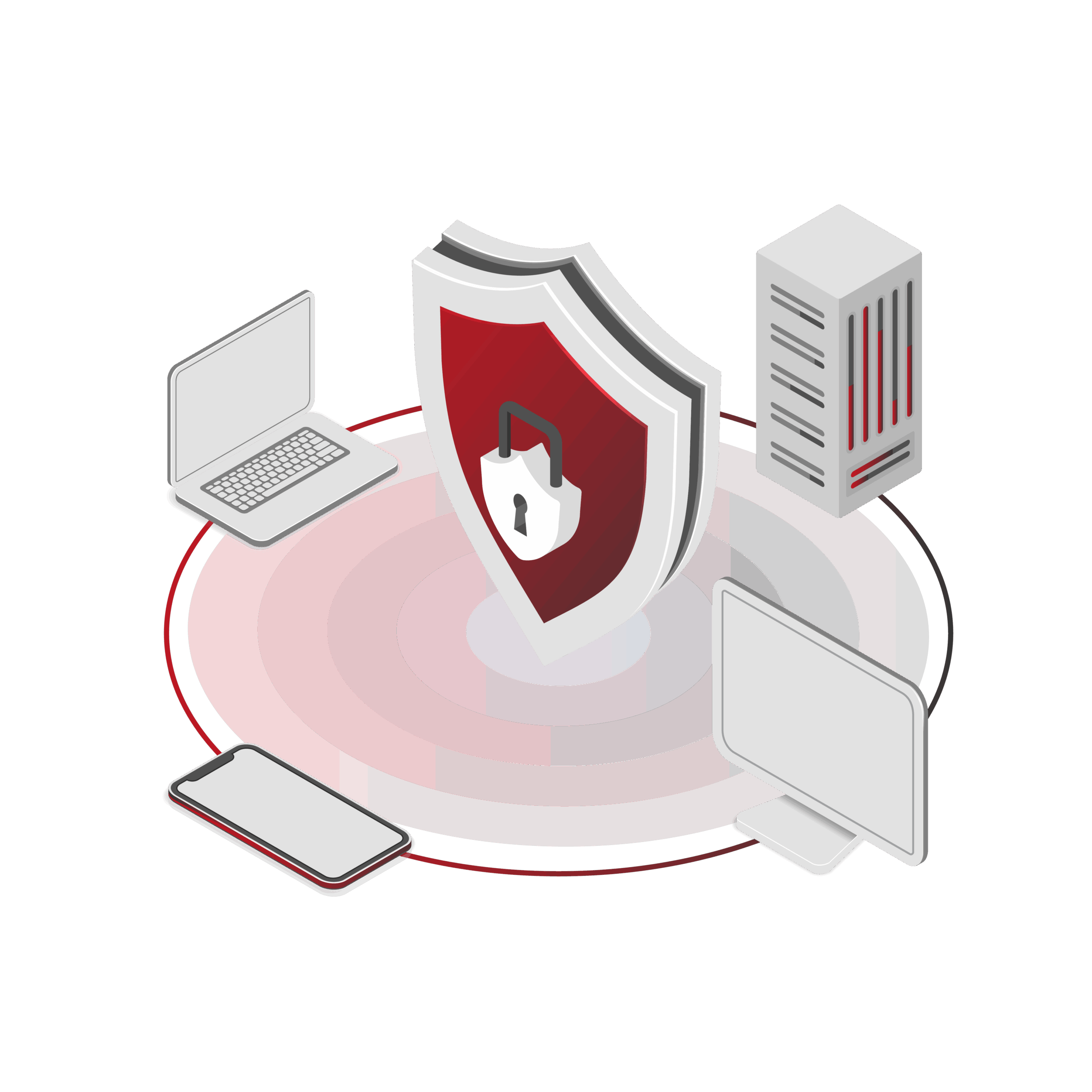 Local Area Network (LAN) Solution - Trust Systems